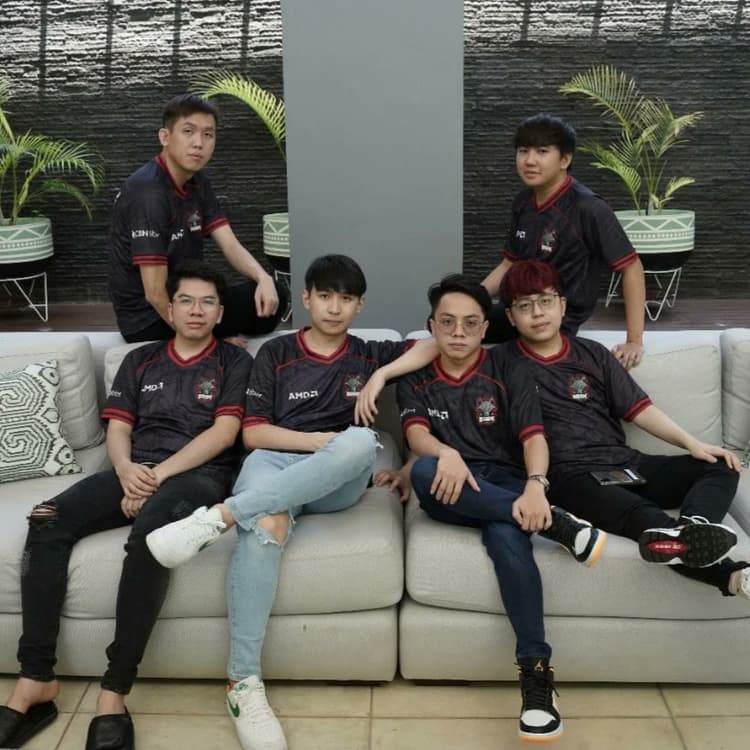 BOOM Esports reveals full roster for DPC 2023 | esports.gg