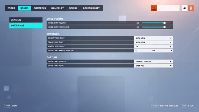 How to fix Overwatch 2 voice chat not working | Esports.gg