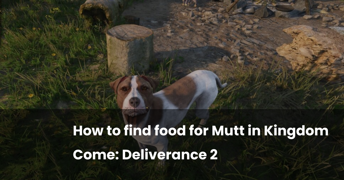 How to find food for Mutt in Kingdom Come: Deliverance 2 | esports.gg